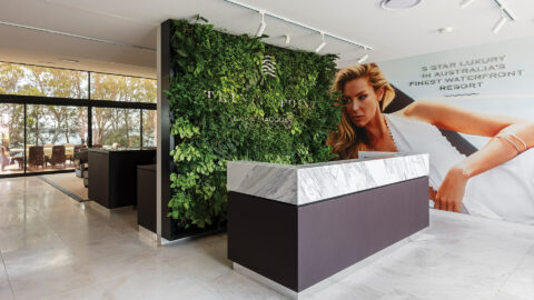 Trinity Point - Rare Identity